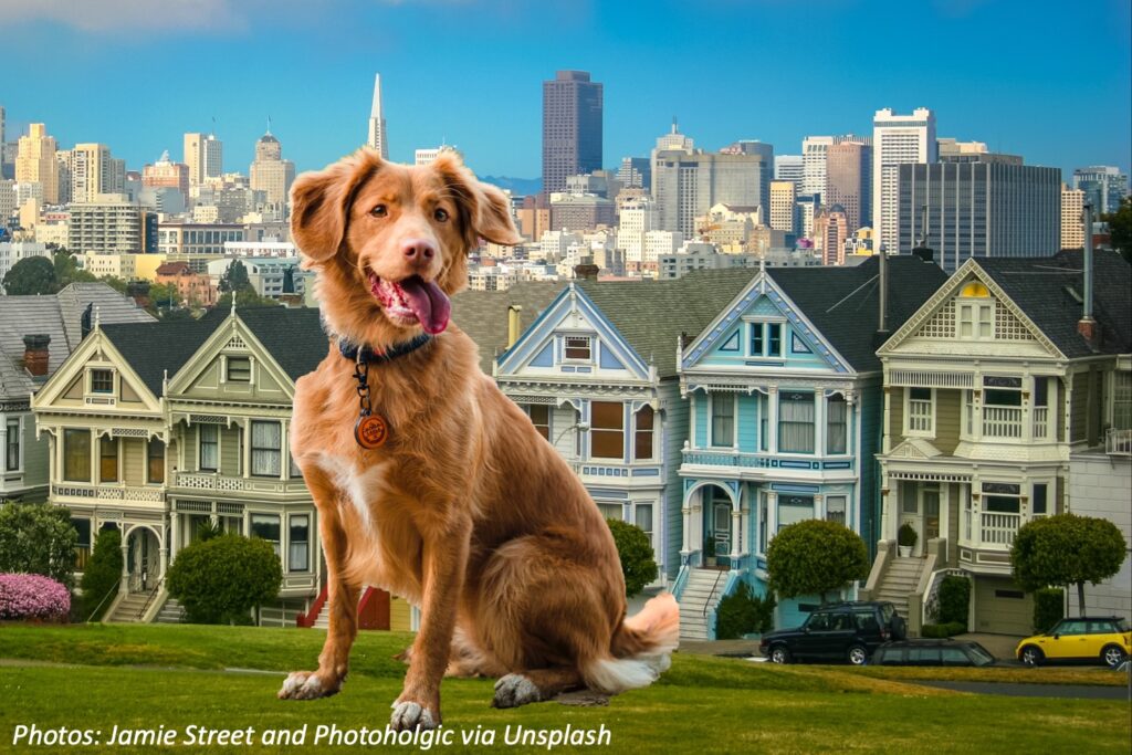 Continue a Simple Pattern – Bedtime Math