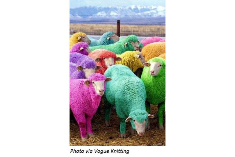 Rainbow Sheep – Bedtime Math