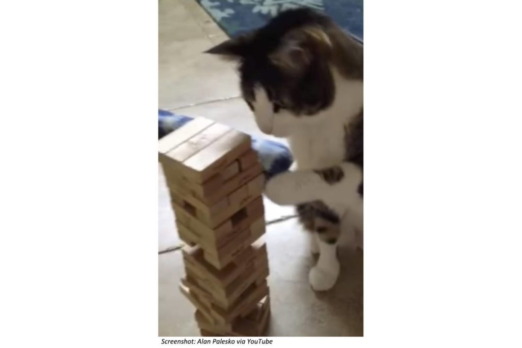 Jenga Cat – Bedtime Math