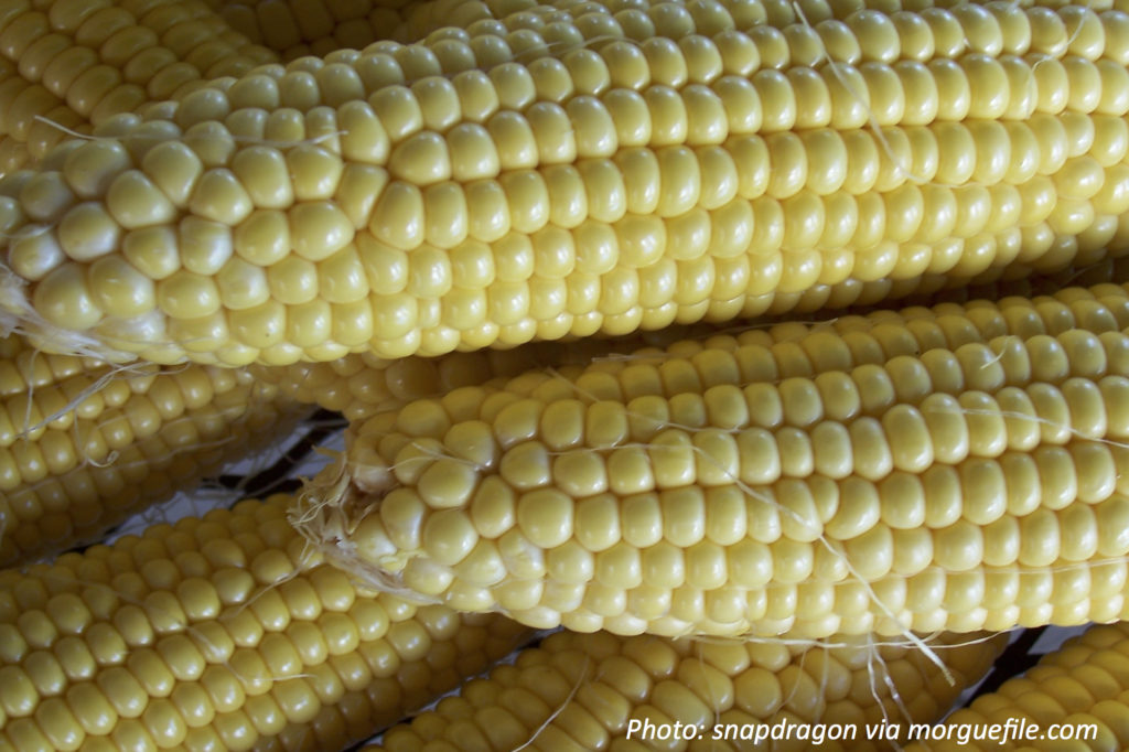 Before You Pop It... - Bedtime Math