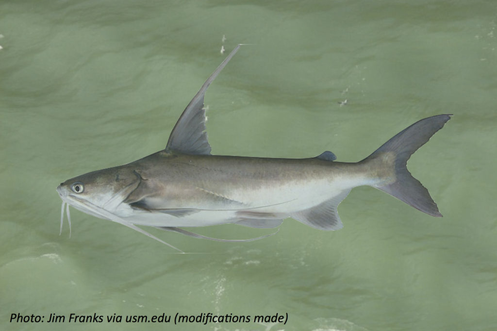 A Mouthful of Kids – Bedtime Math