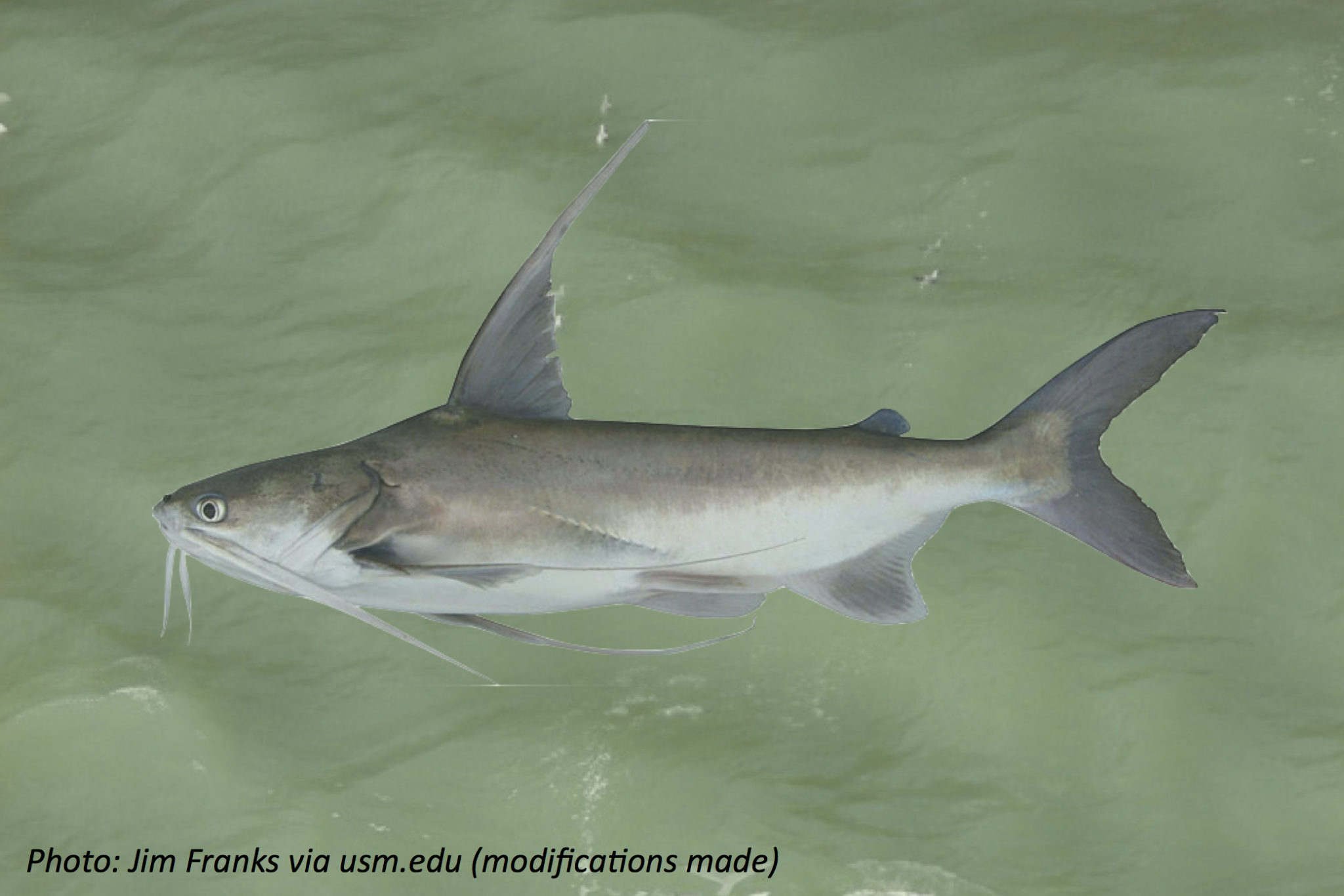 A Mouthful of Kids – Bedtime Math