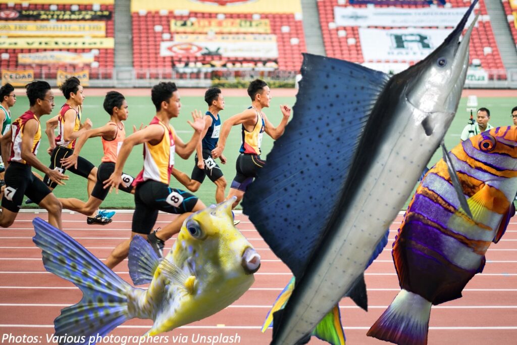 Daily Math – Bedtime Math