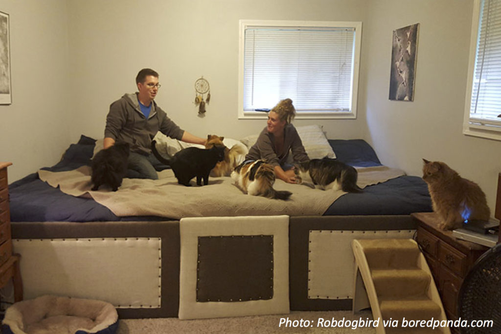 A Bed for Rover, Fluffy, and You – Bedtime Math