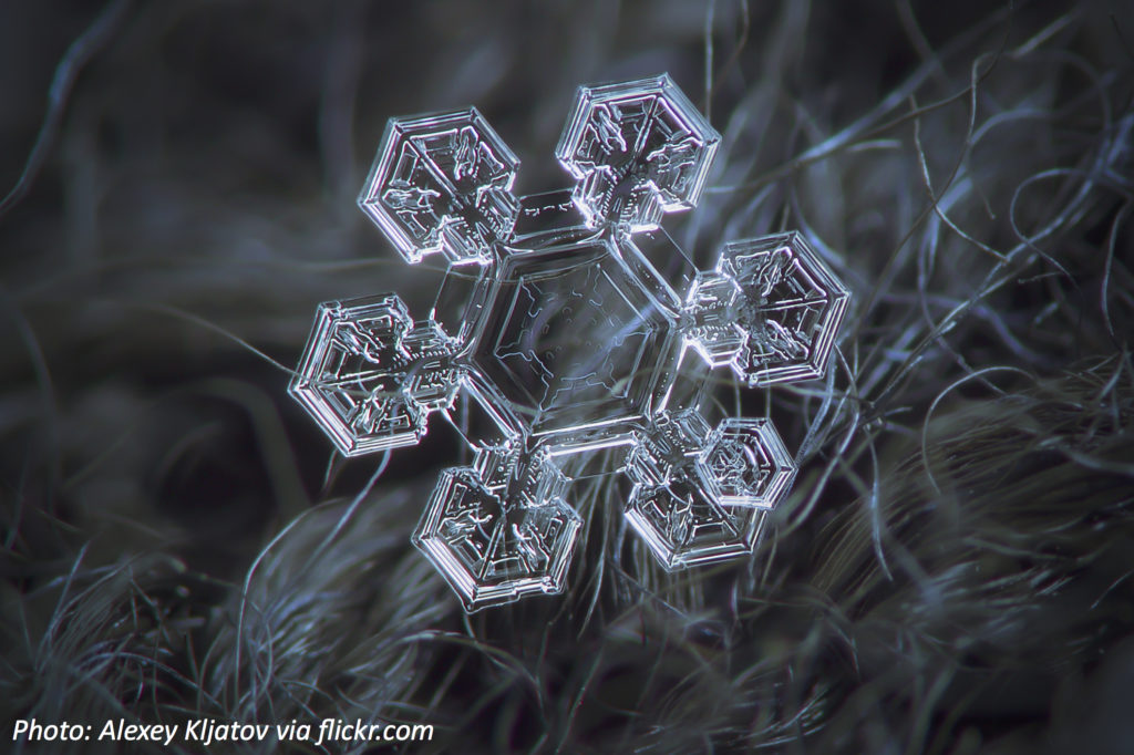 Do All Snowflakes Have 6 Sides? – Bedtime Math