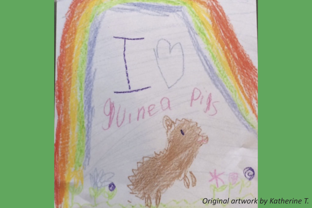 The Greatness of Guinea Pigs – Bedtime Math