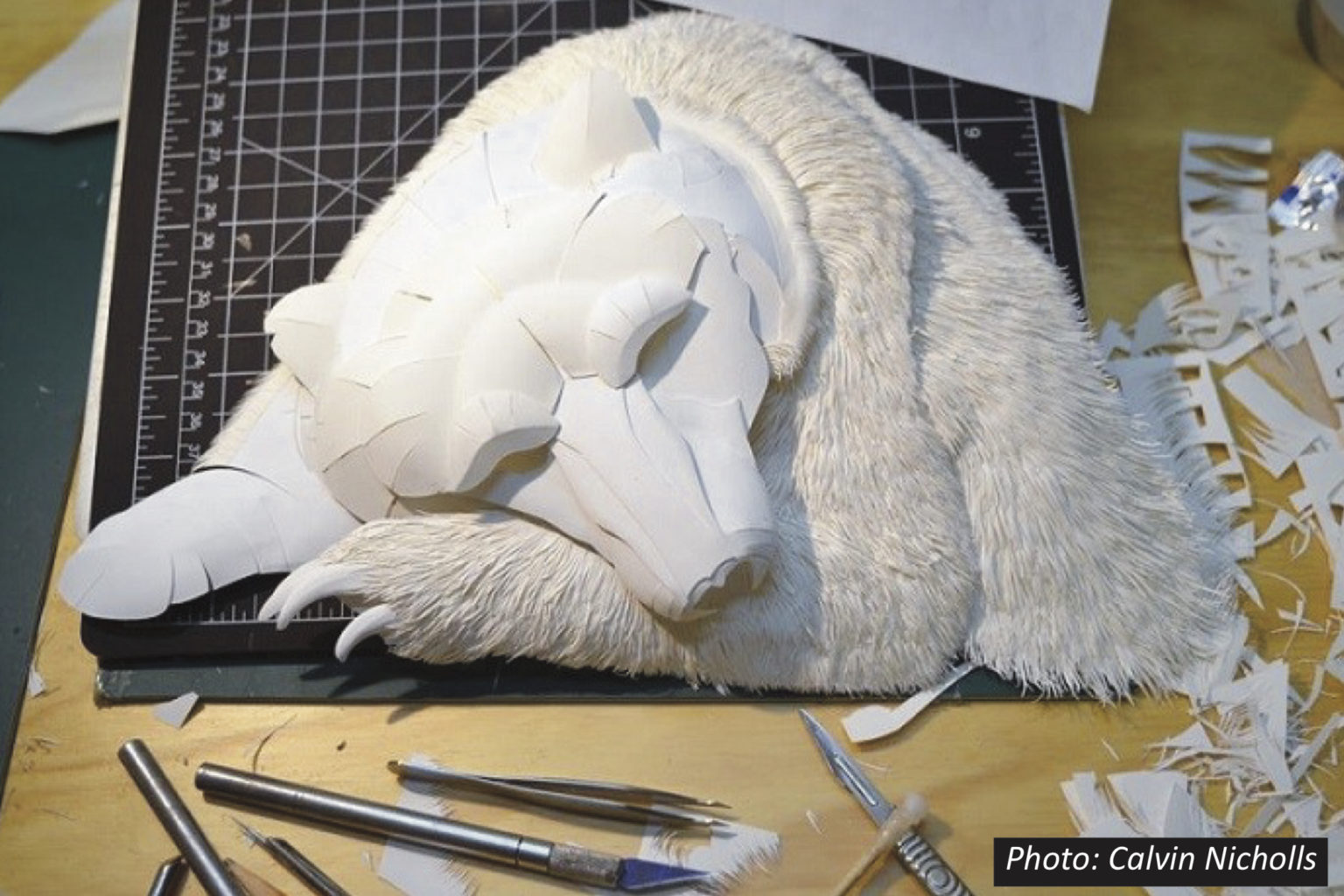 Perfect Paper Pets – Bedtime Math