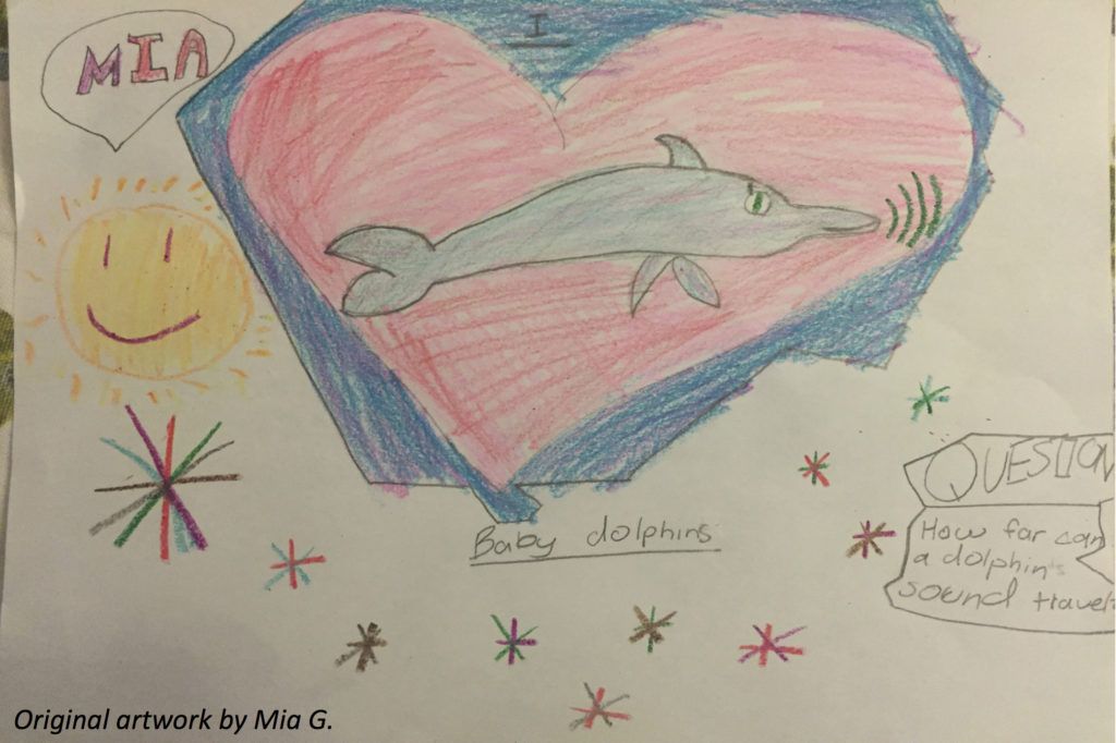 What Does the Dolphin Say? - Bedtime Math