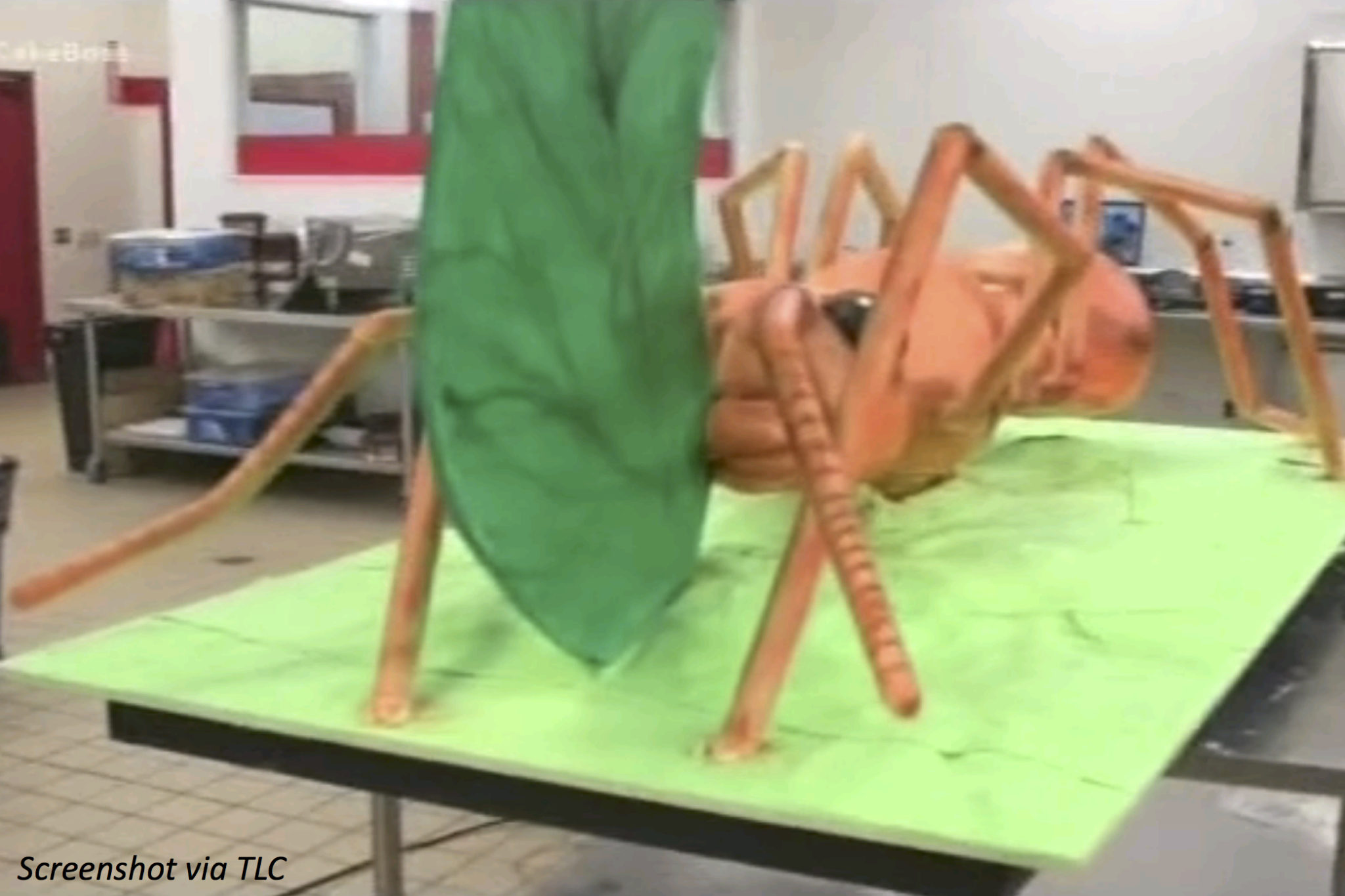 How to Bake a Bug Cake – Bedtime Math