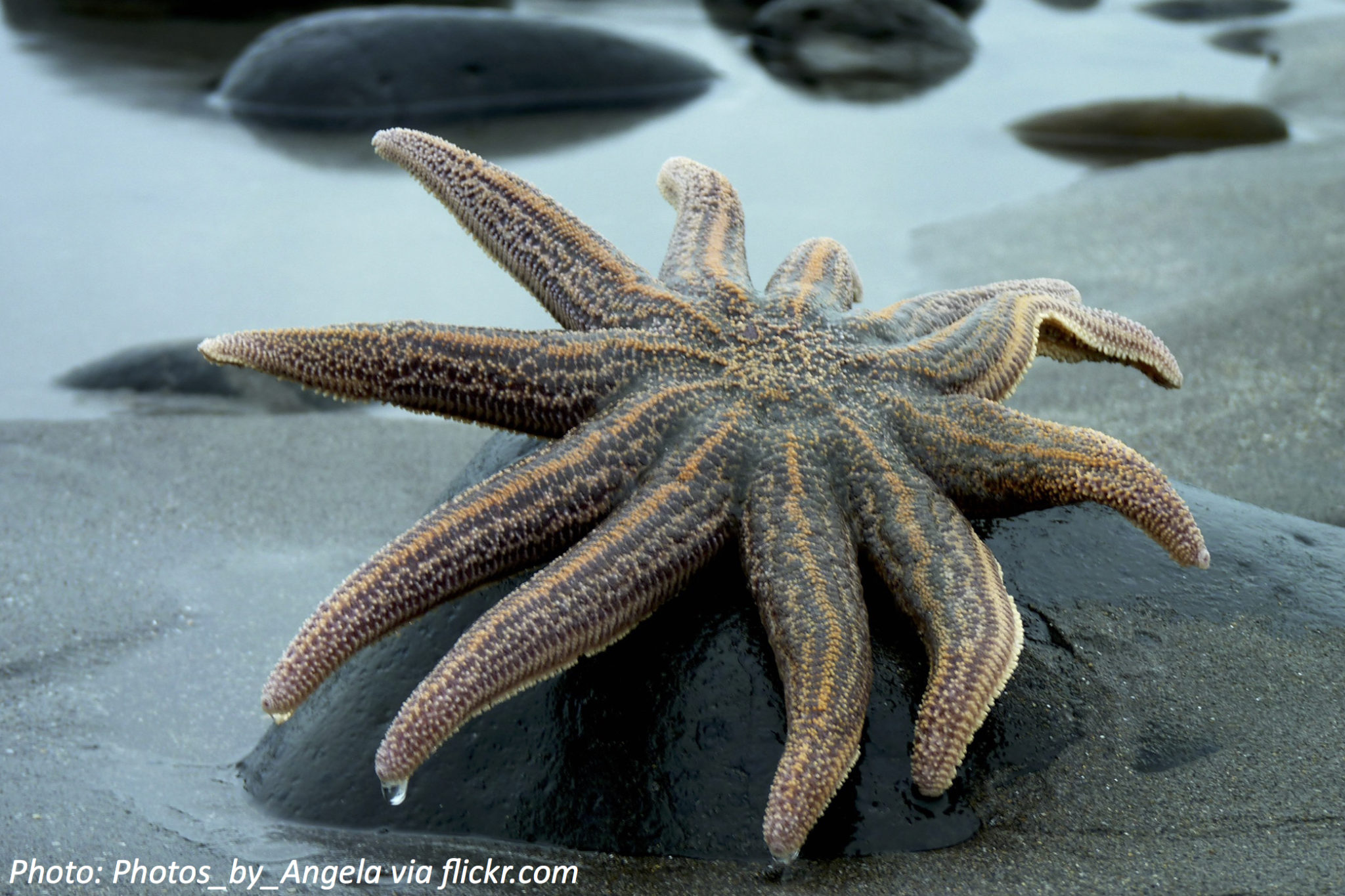 Give Me a High Five — or Fifty – Bedtime Math