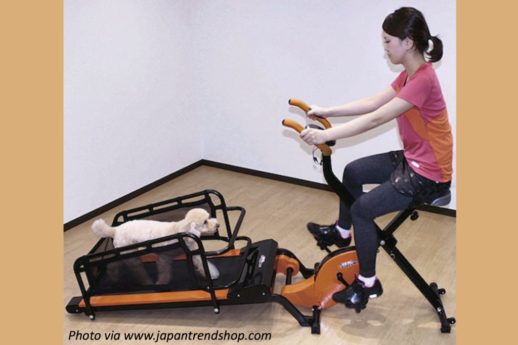 Bike-Powered Pooch – Bedtime Math