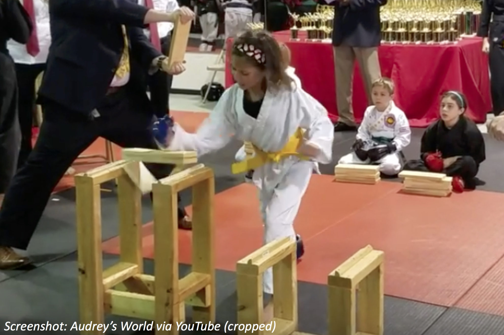 Karate Chop! – Bedtime Math