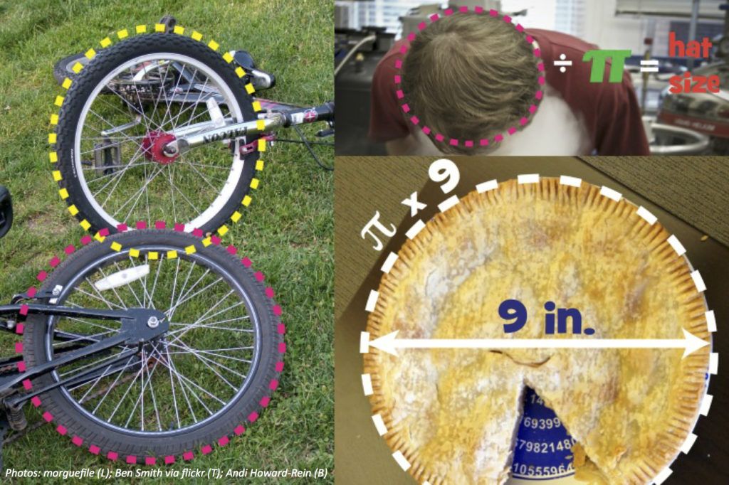 The Wheel Deal - Bedtime Math