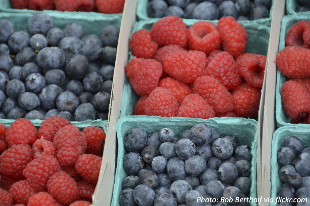 Blast of Berries - Bedtime Math