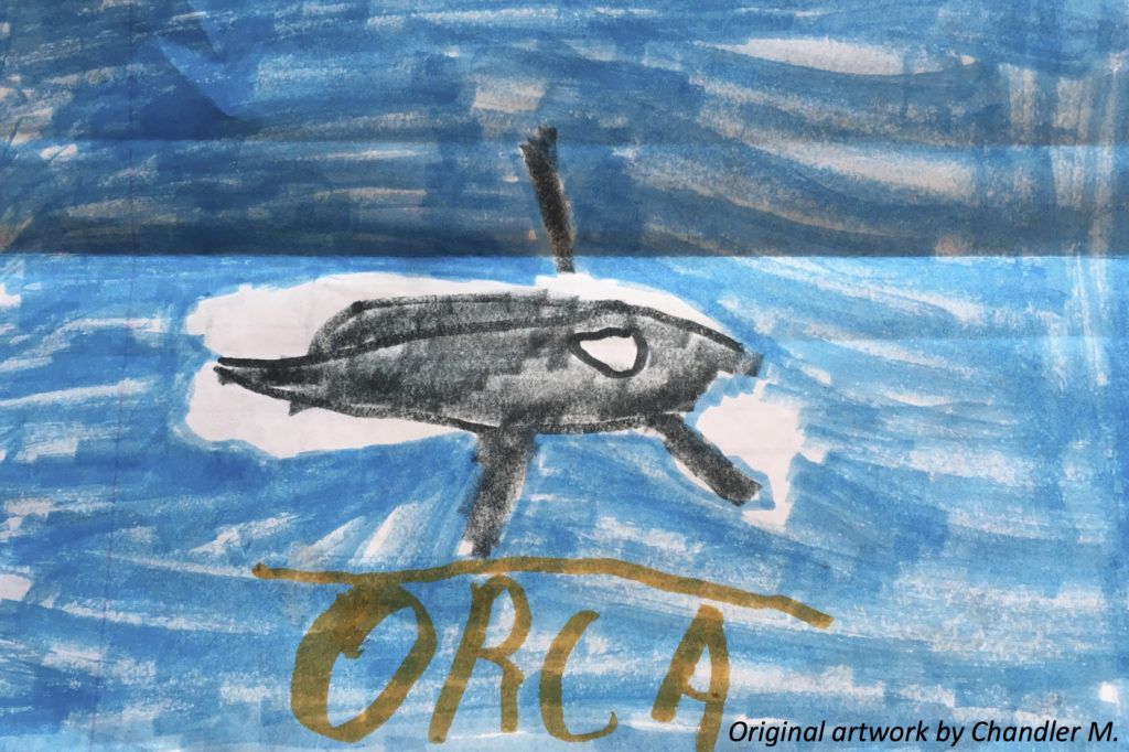 Oceans of Orcas - Bedtime Math