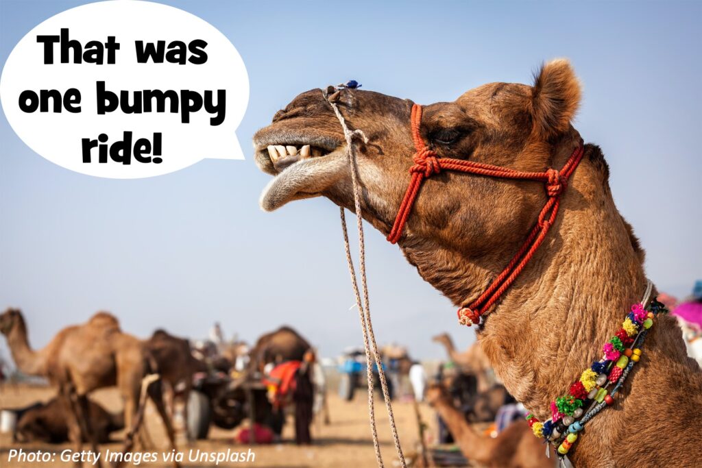 Who Has How Many Humps? – Bedtime Math