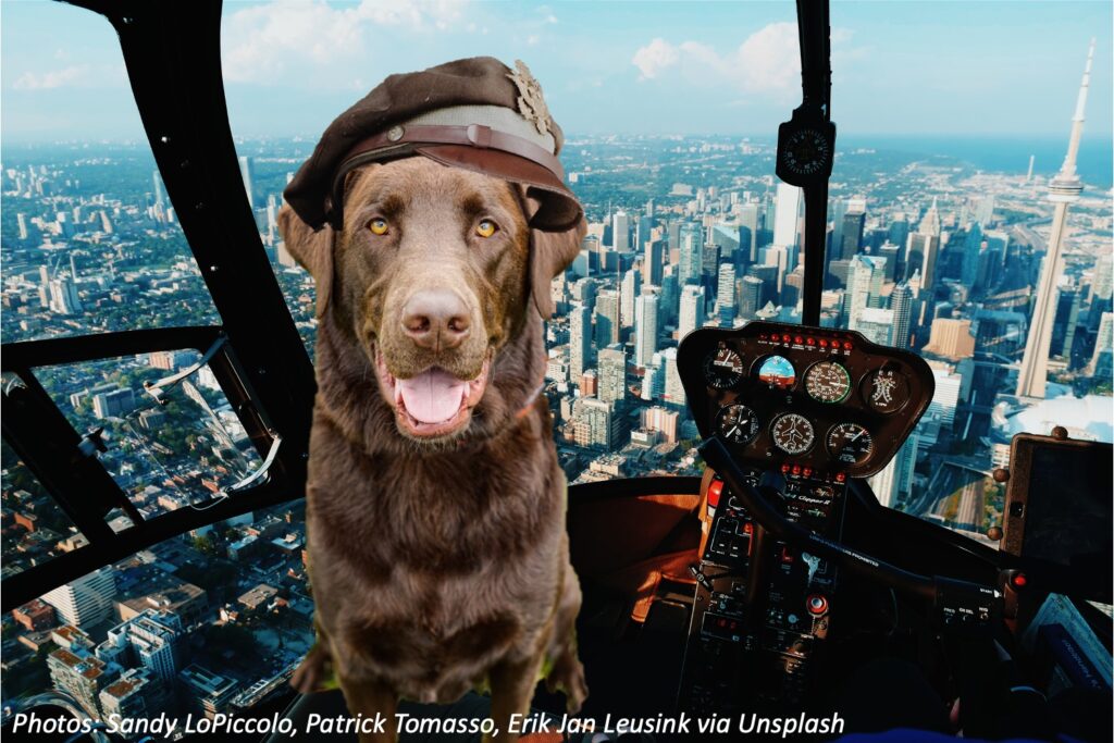 Can Dogs Fly? – Bedtime Math
