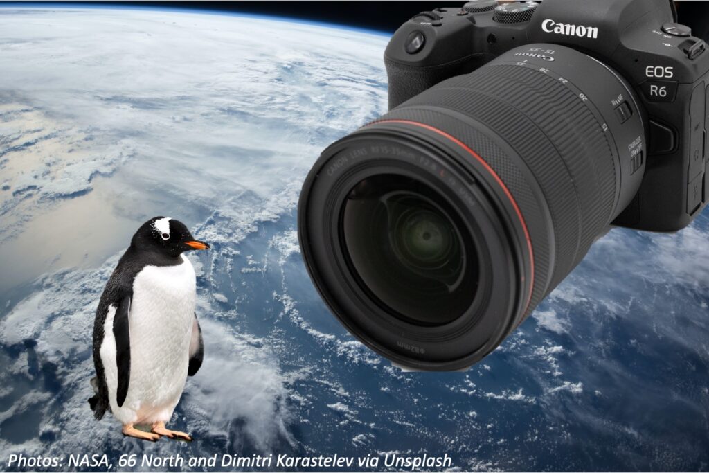 Penguin World Takeover – Bedtime Math