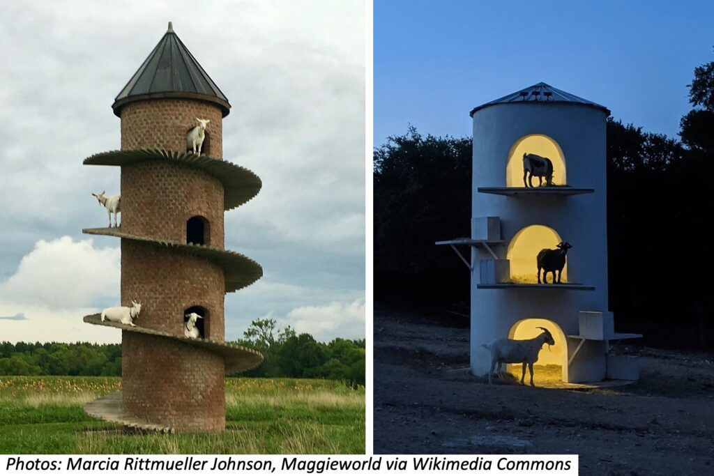 Level Up Like a Goat – Bedtime Math