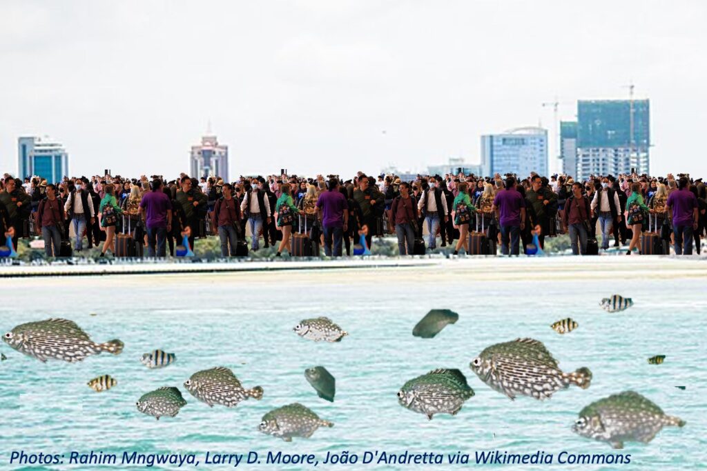 Too Many Fish in the Sea – Bedtime Math