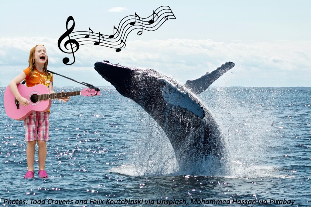 How to Sing with a Whale – Bedtime Math