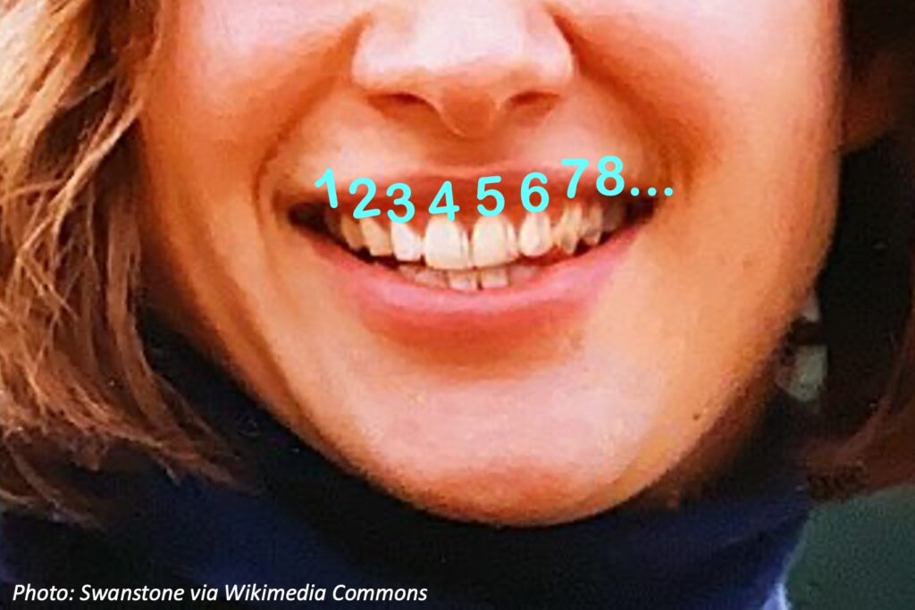 The Toothy Truth – Bedtime Math