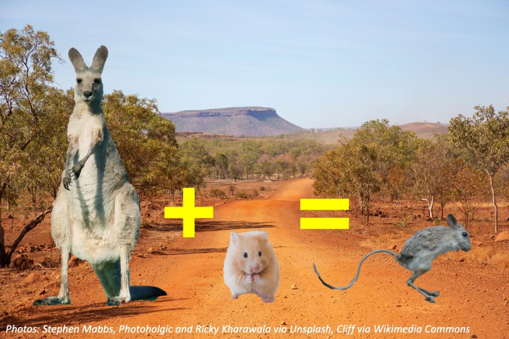 Daily Math – Bedtime Math