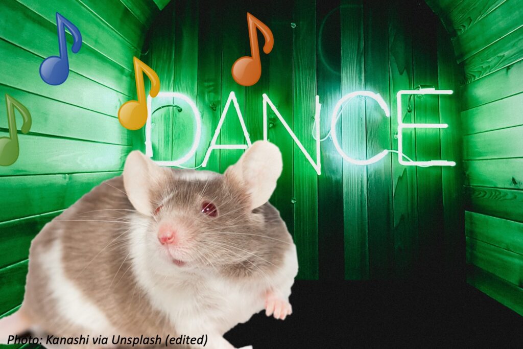 Daily Math – Bedtime Math