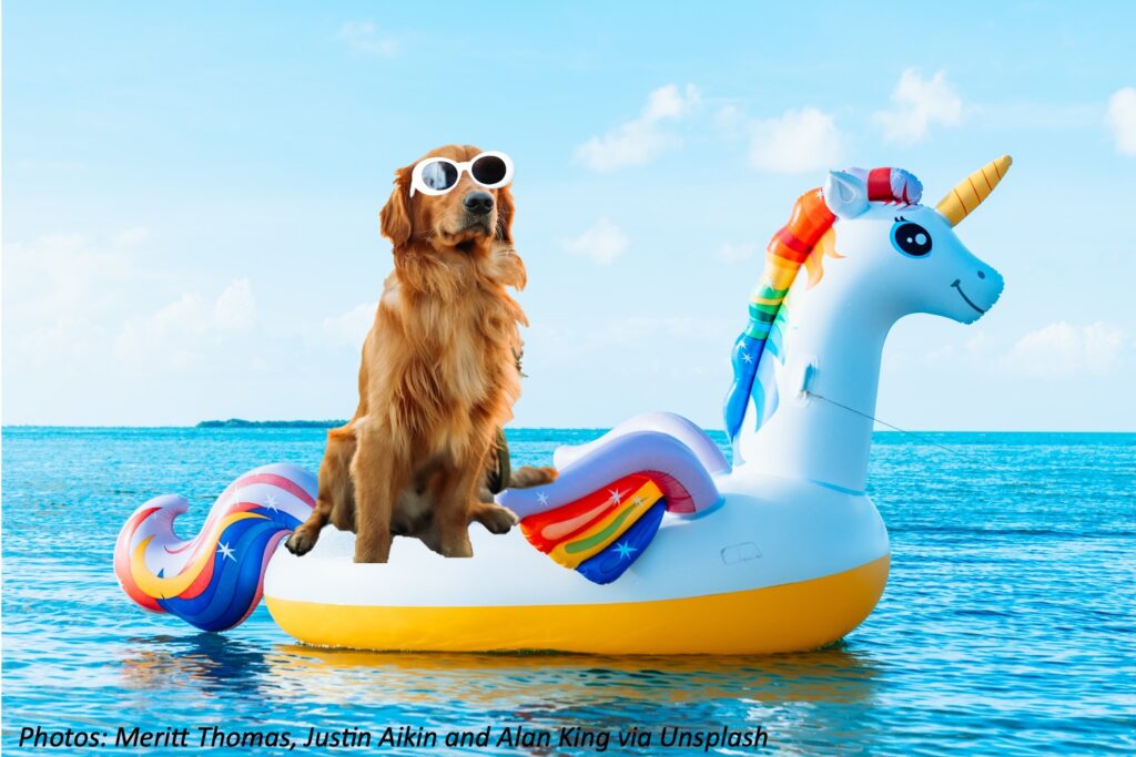 Doggy Paddle Like a Pro – Bedtime Math