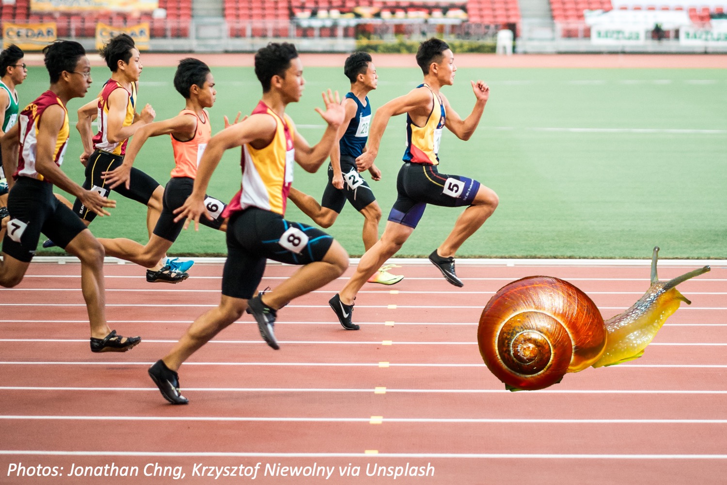 The Speediest Snail Bedtime Math