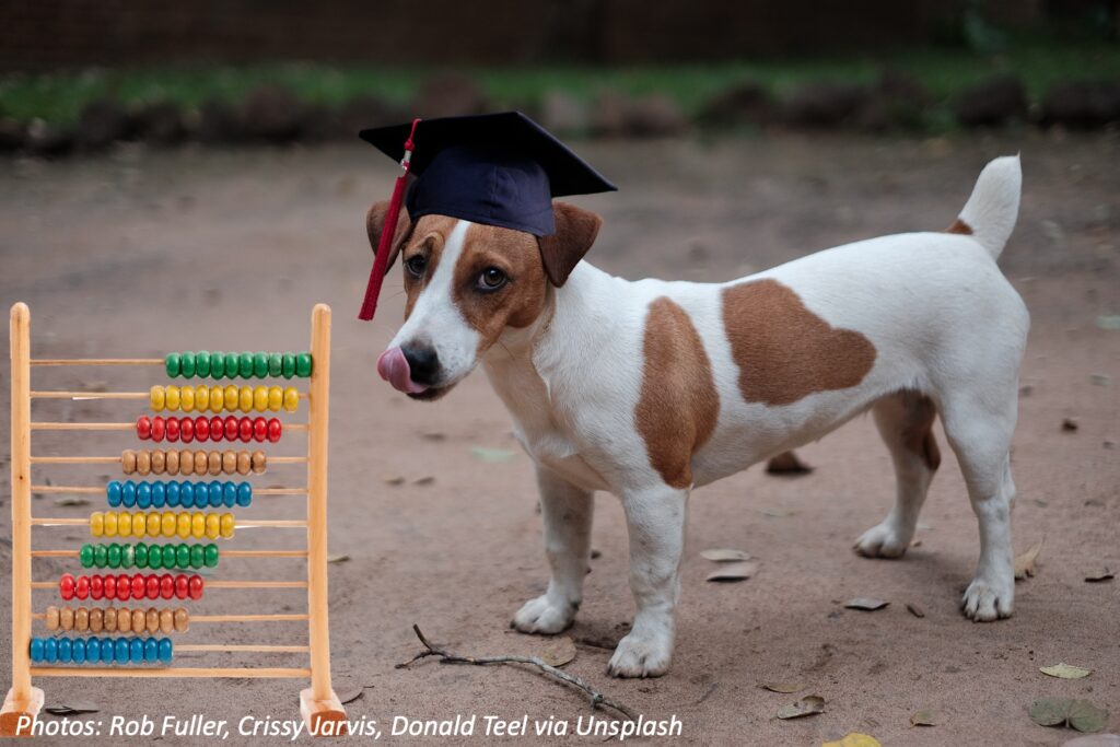 You Can Count on Dogs, Because Dogs Can Count – Bedtime Math