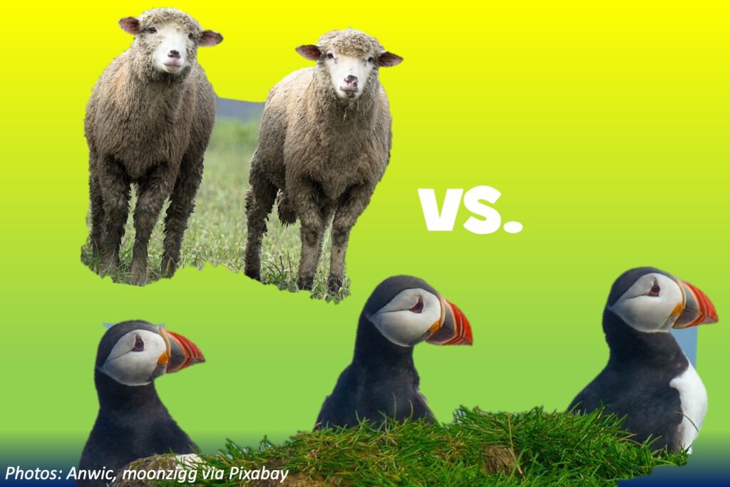 Solve a Multi-Step Problem involving Division – Bedtime Math