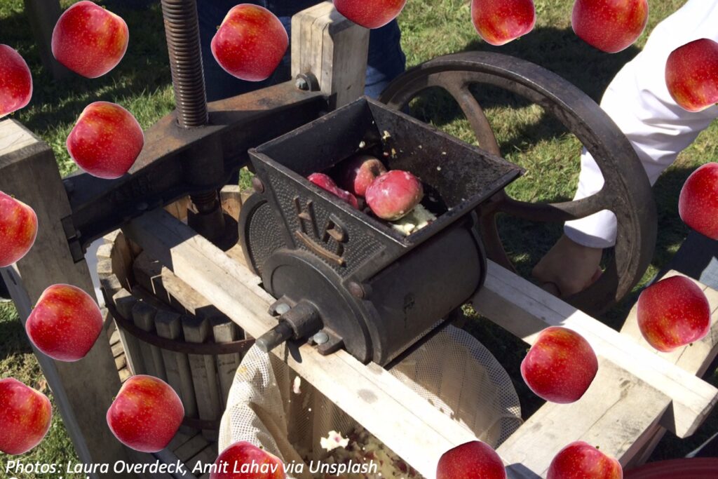 Daily Math – Bedtime Math