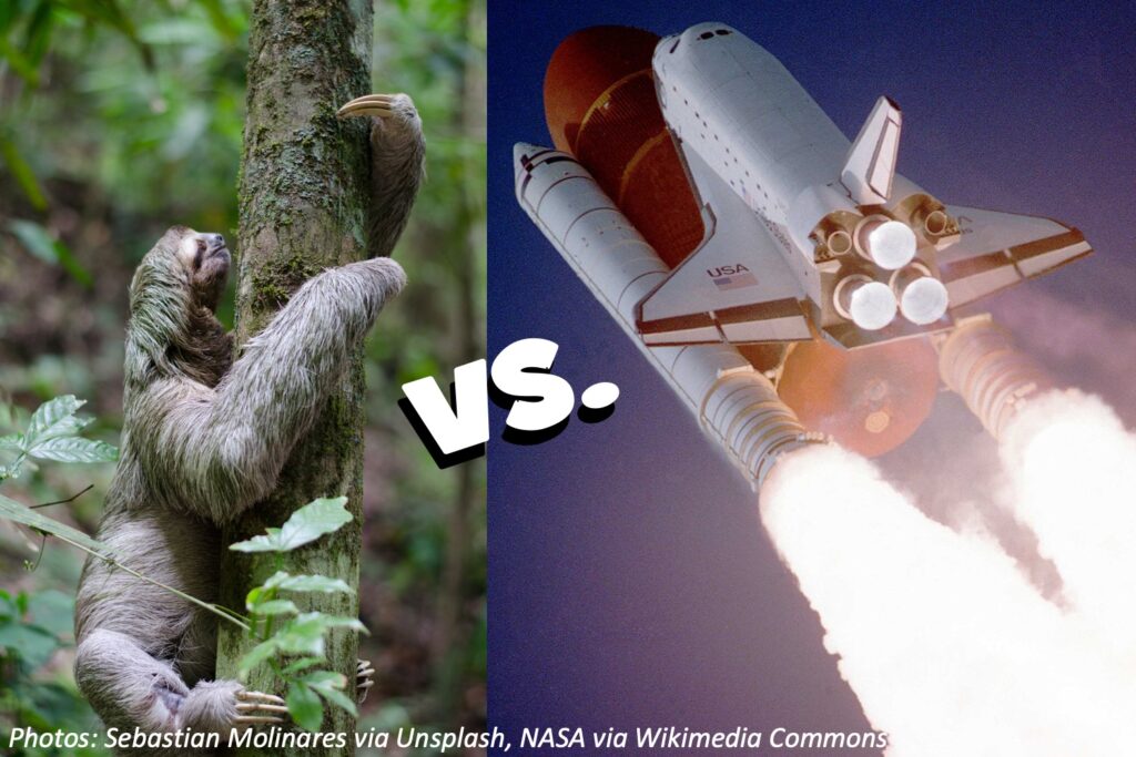 Daily Math – Bedtime Math