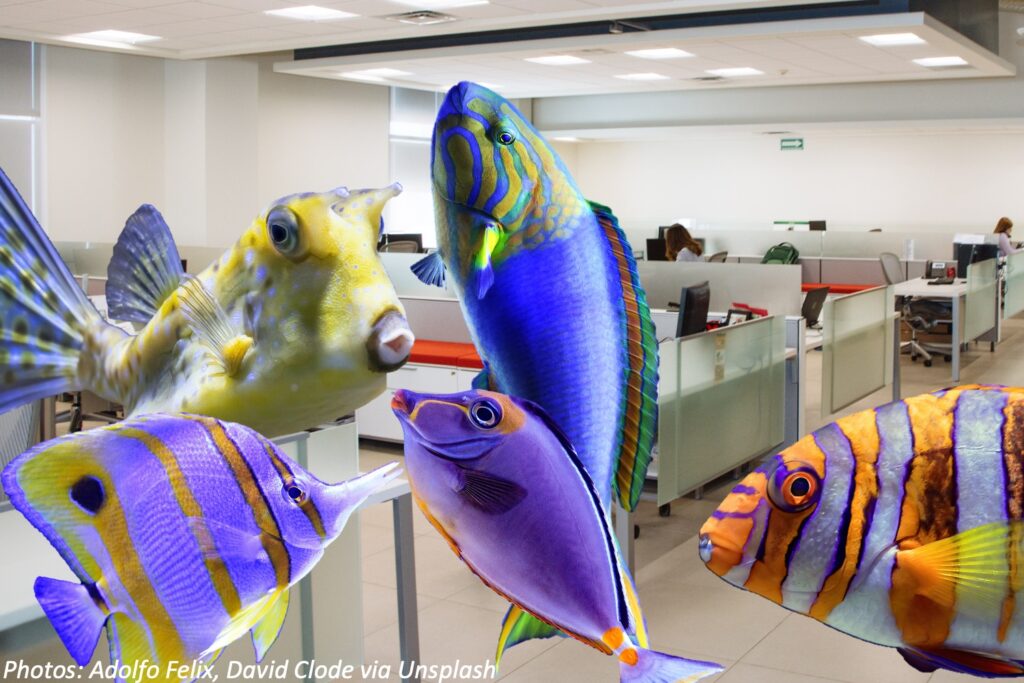 Put That Fish to Work! – Bedtime Math